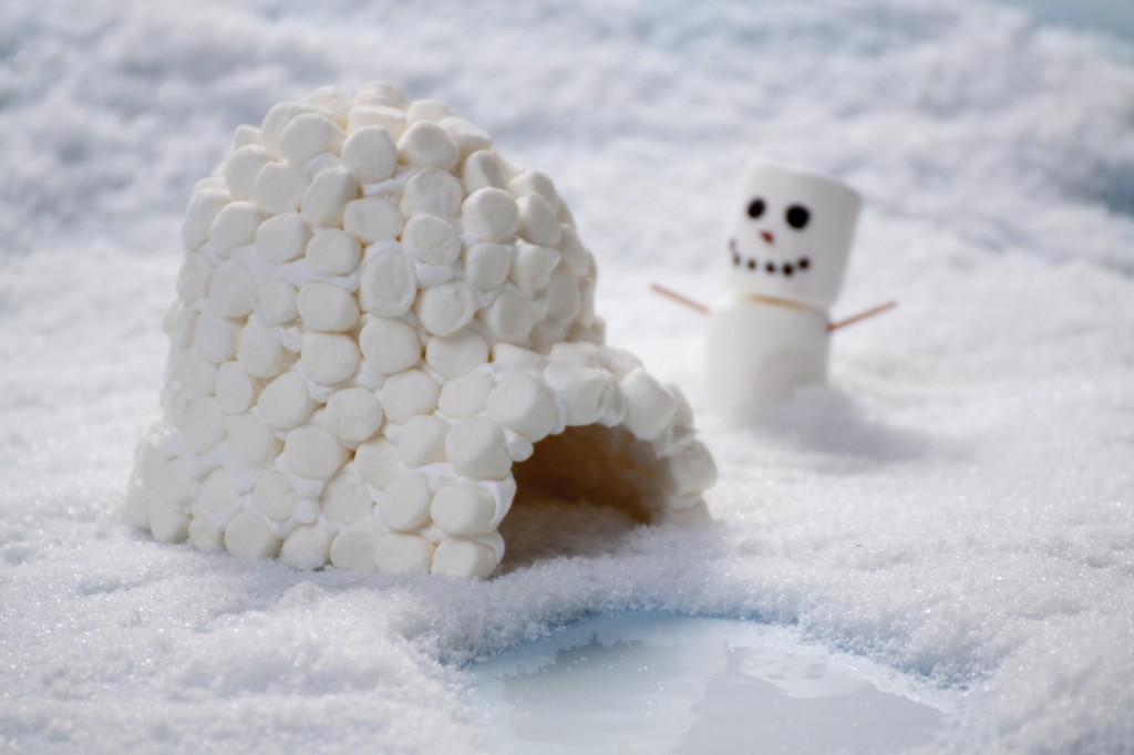 1 Bag Of Marshmallows SNOW Much Fun Happy Home Fairy