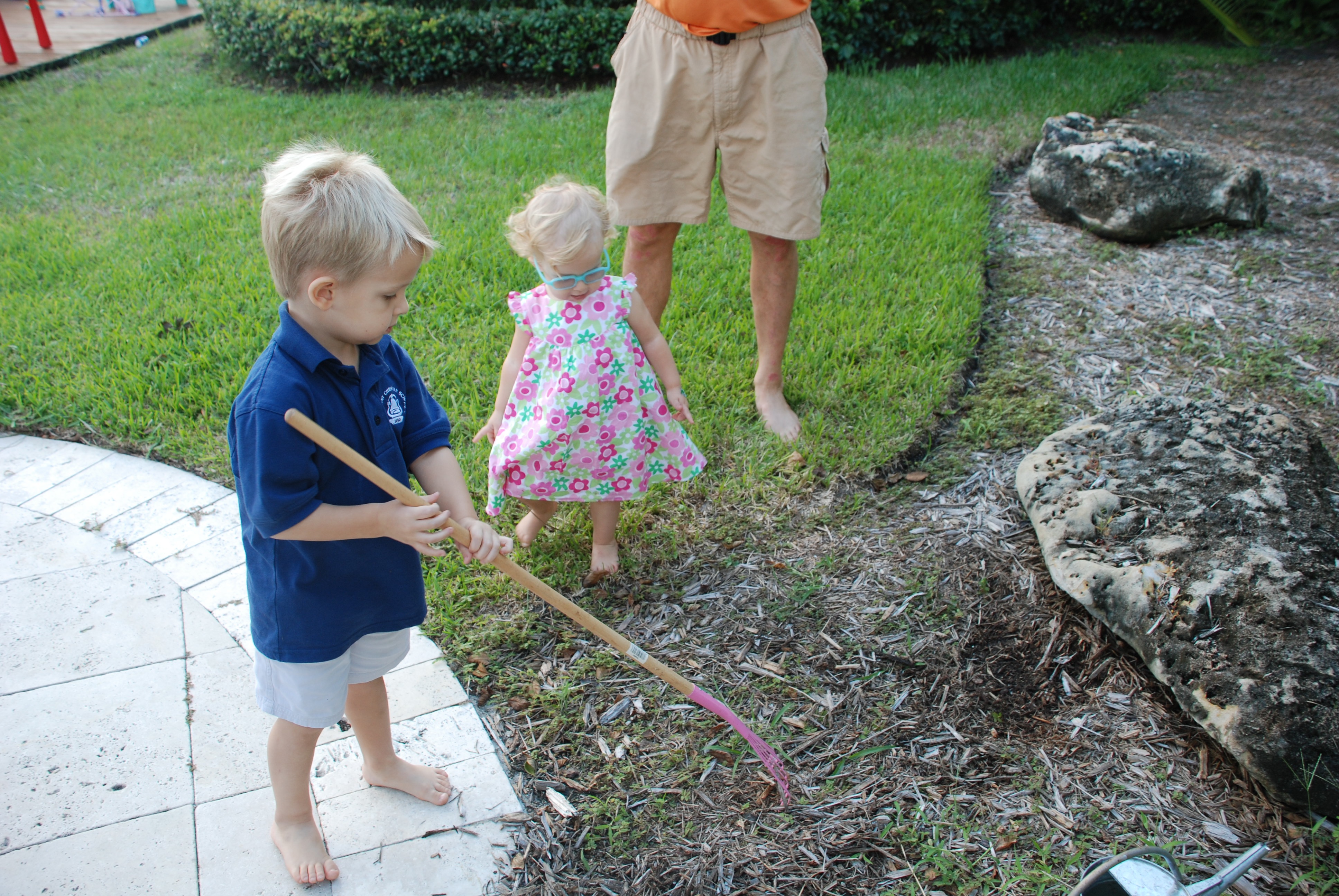 Magic Pumpkin Seeds - Happy Home Fairy