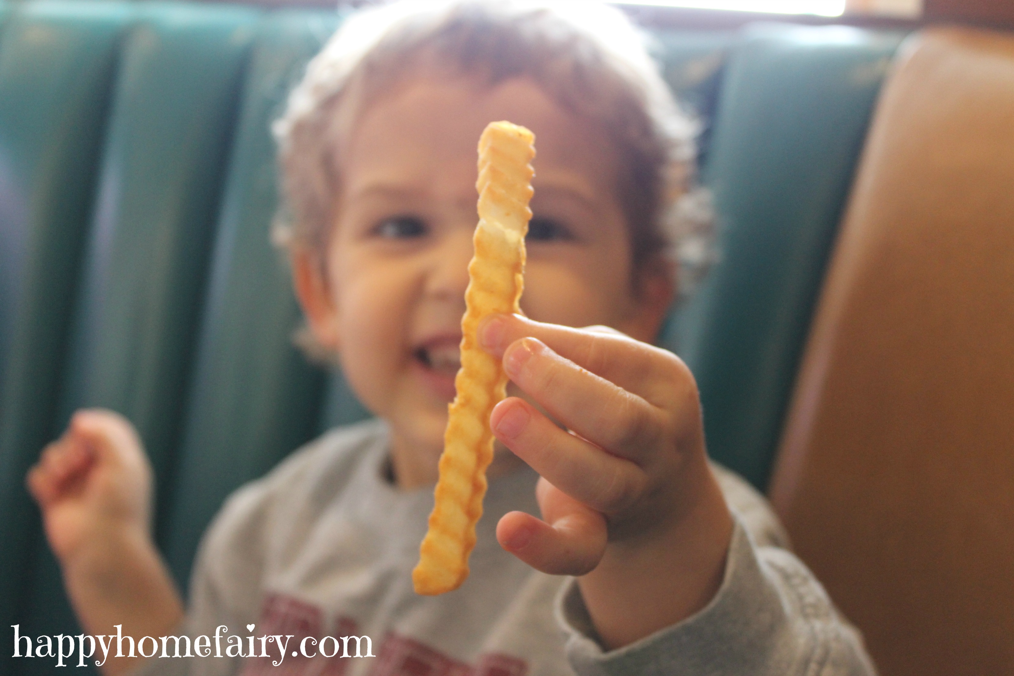 Fairy Favorites - The Giant Fry and Other Randomness - Happy Home Fairy