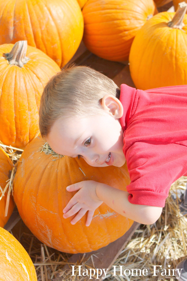 Just Another Perfect Day at the Pumpkin Patch - Happy Home Fairy
