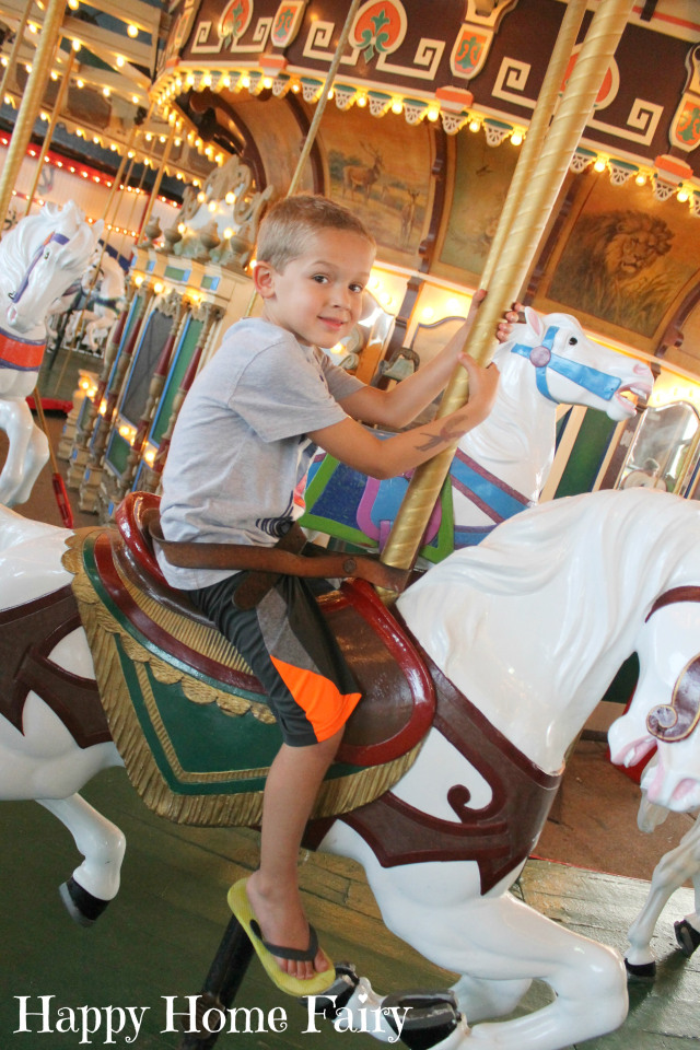 The Carousel Kindness - Happy Home Fairy